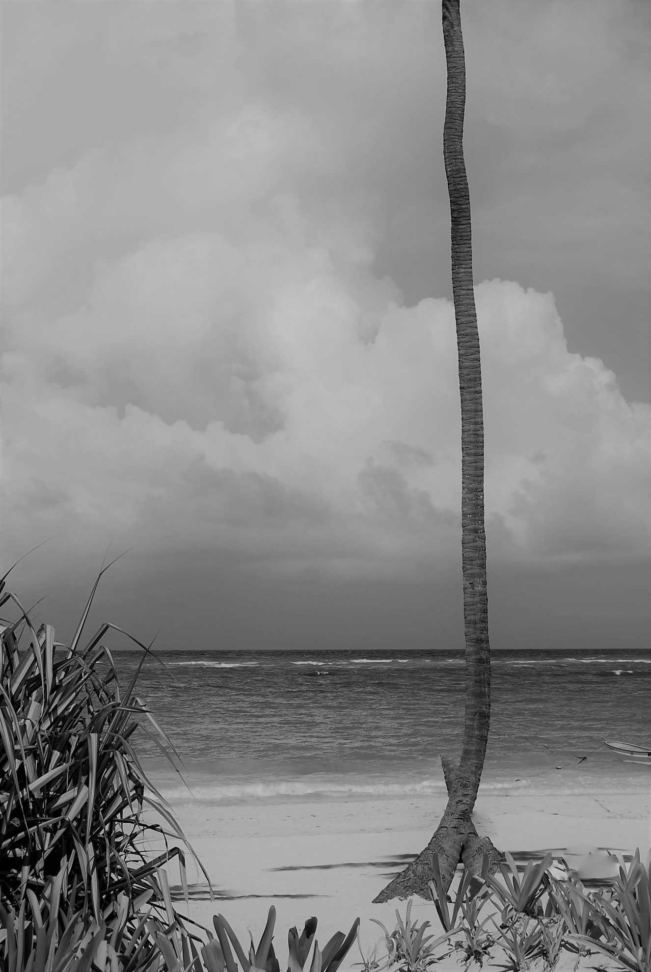 Short-lived (violent) weather disturbance. – Brewing Coffee, Twisting ...